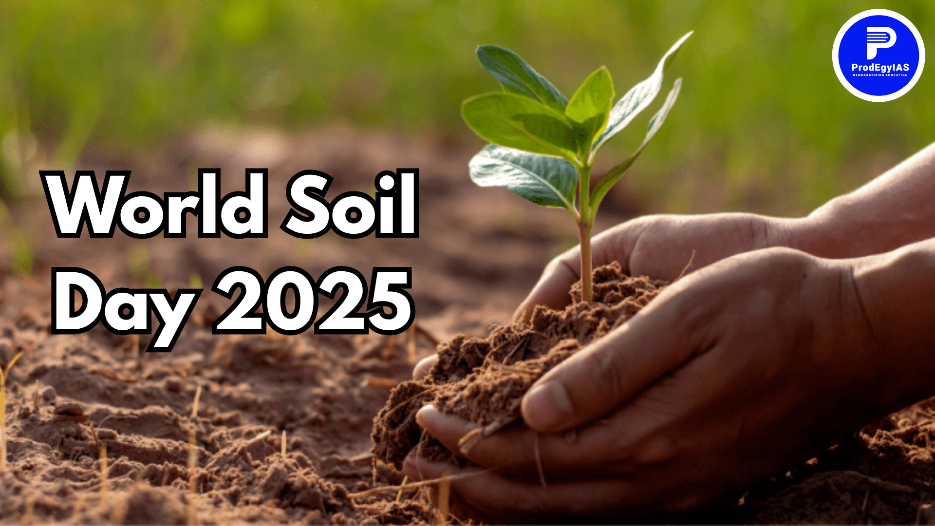 World Soil Day 2025: Importance, Theme, and Soil Restoration for a ...